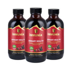 Cranberry elderberry concentrate for wellness