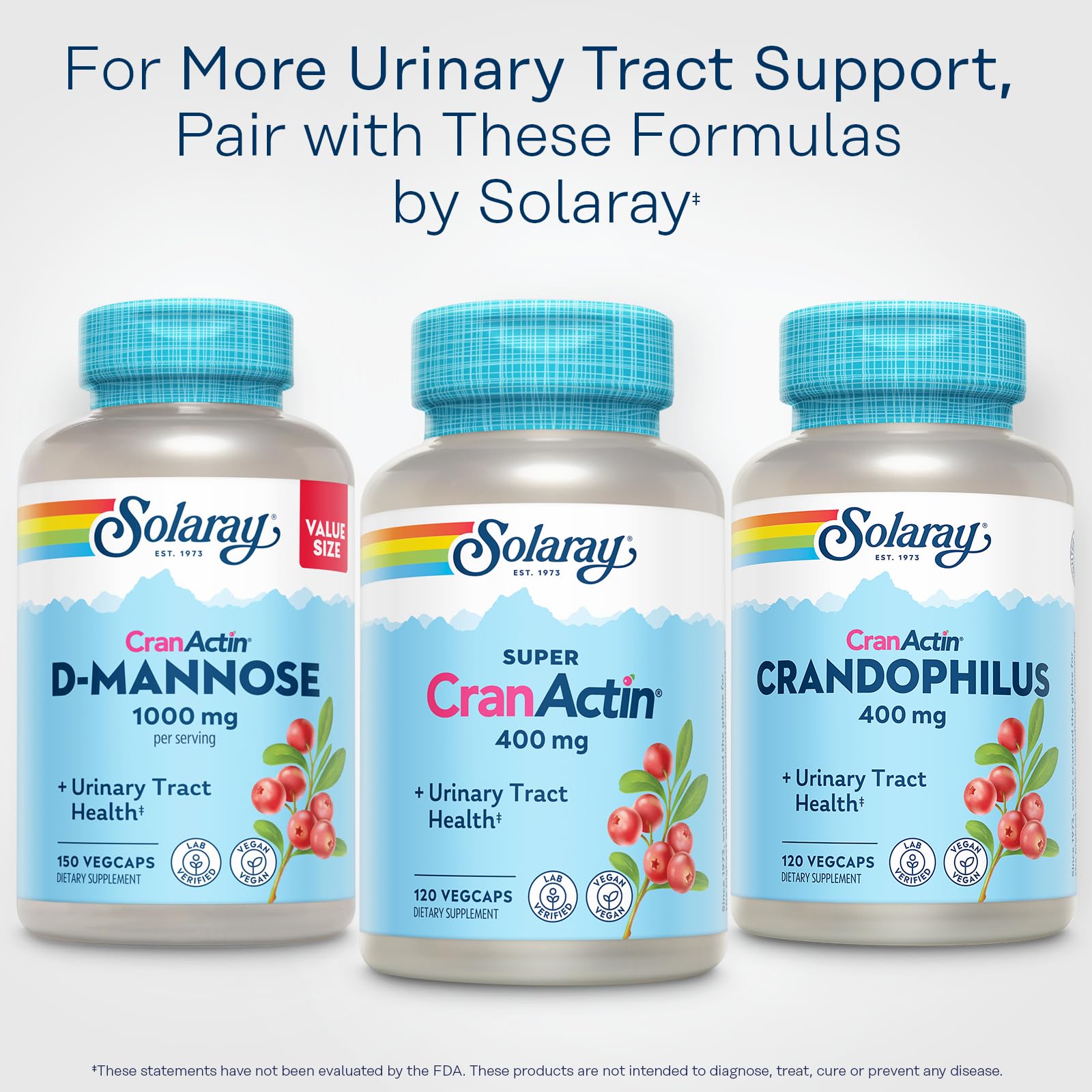 cranberry extract for antioxidant benefits