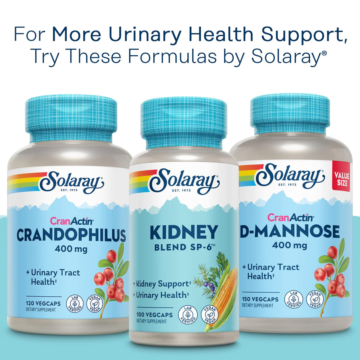 Cranberry extract for antioxidant support