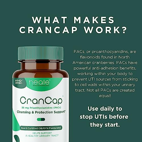 Cranberry extract for antioxidant support