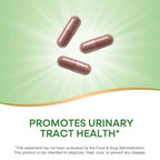 cranberry extract for bladder health