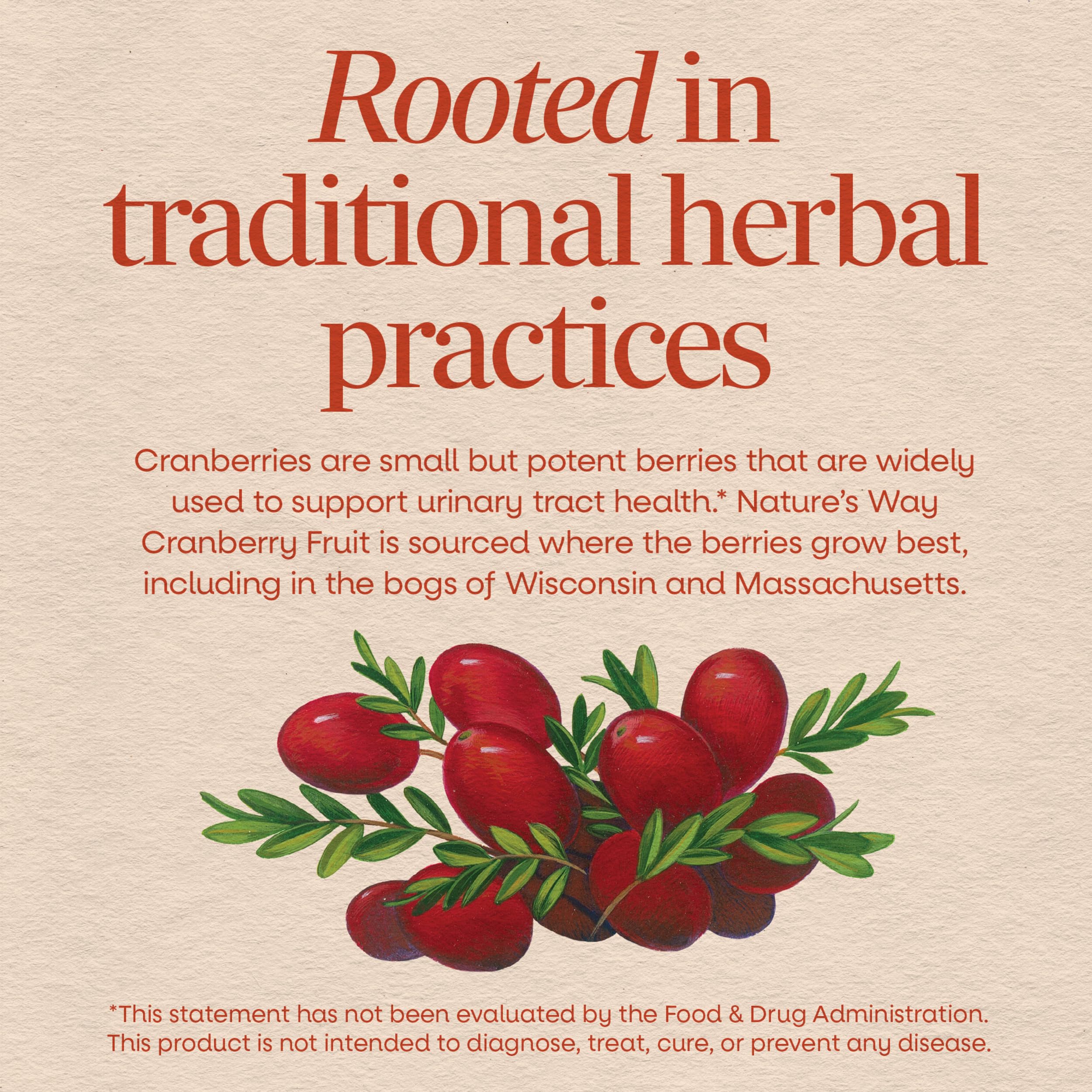 Cranberry extract for bladder support
