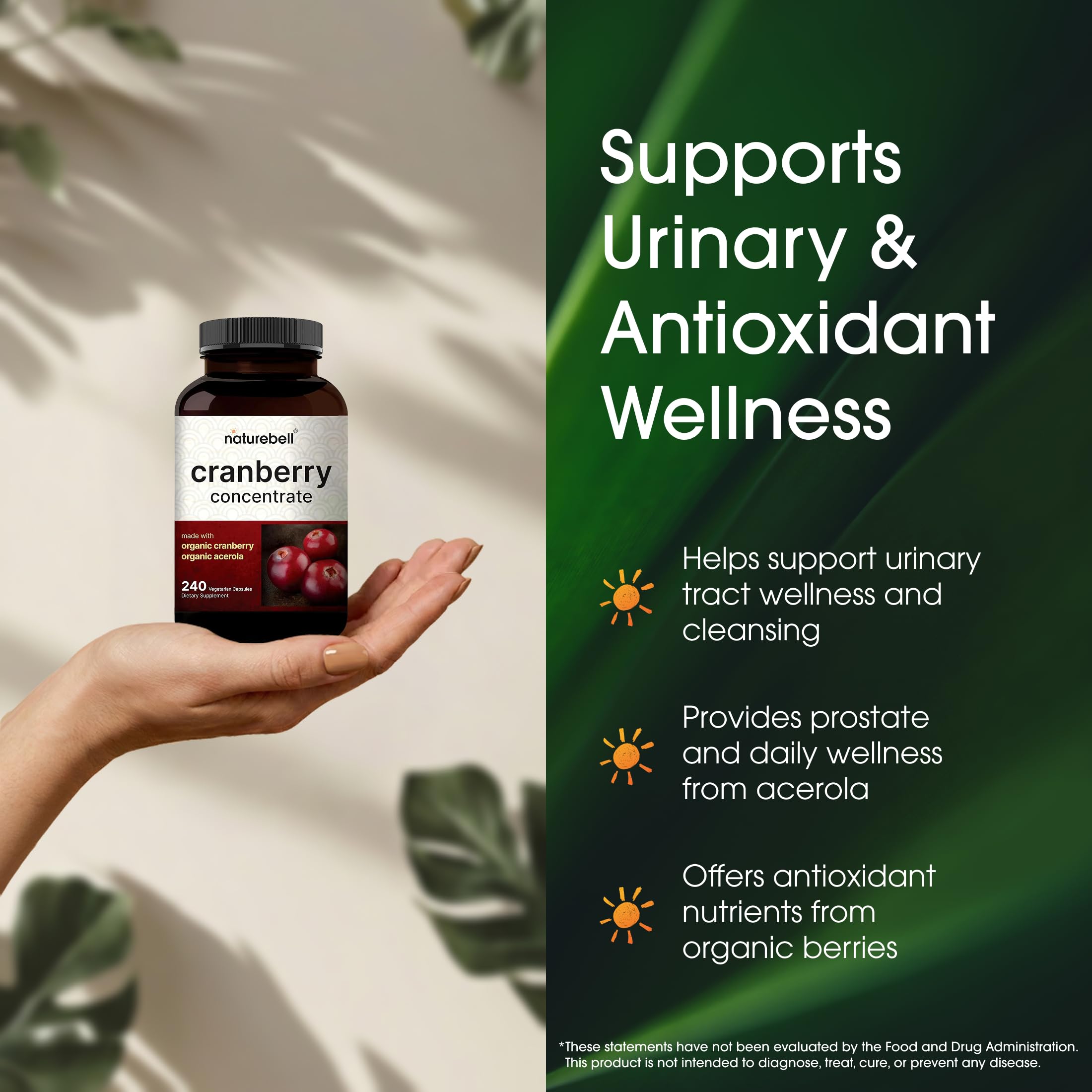cranberry extract for bladder support