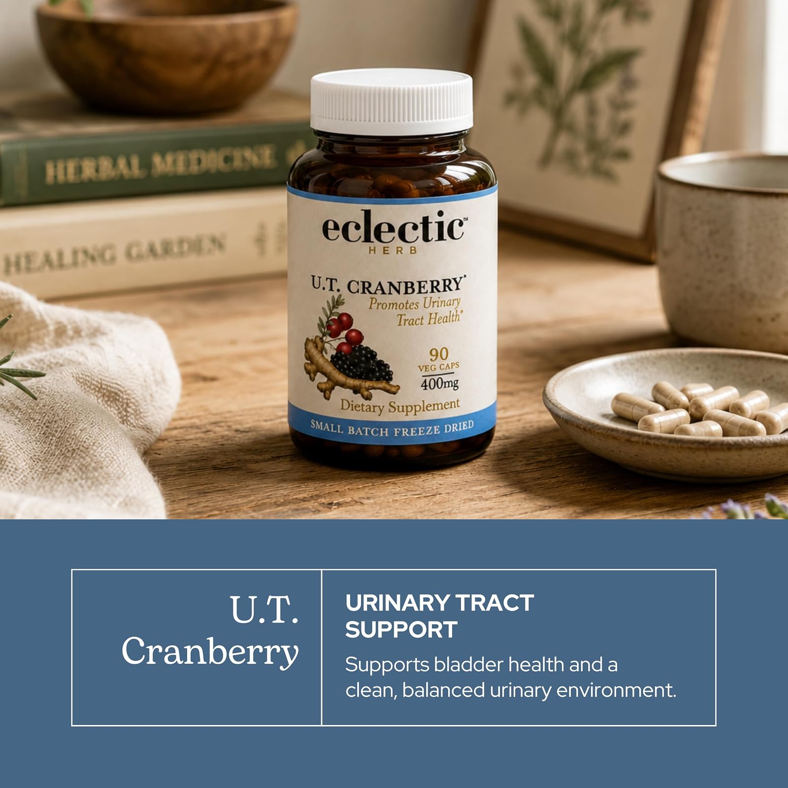 Cranberry extract for bladder support