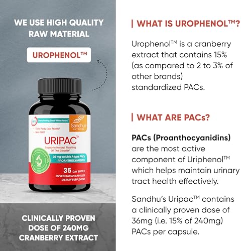 cranberry extract for digestive support