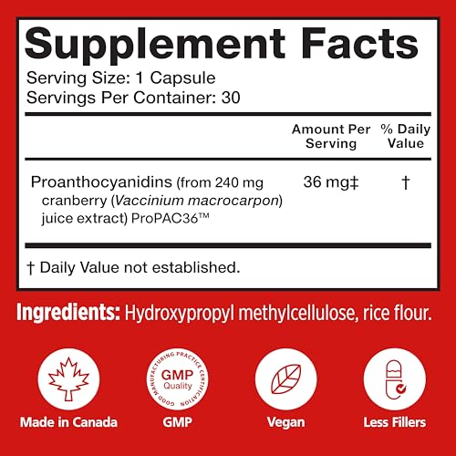 cranberry extract for everyday wellness