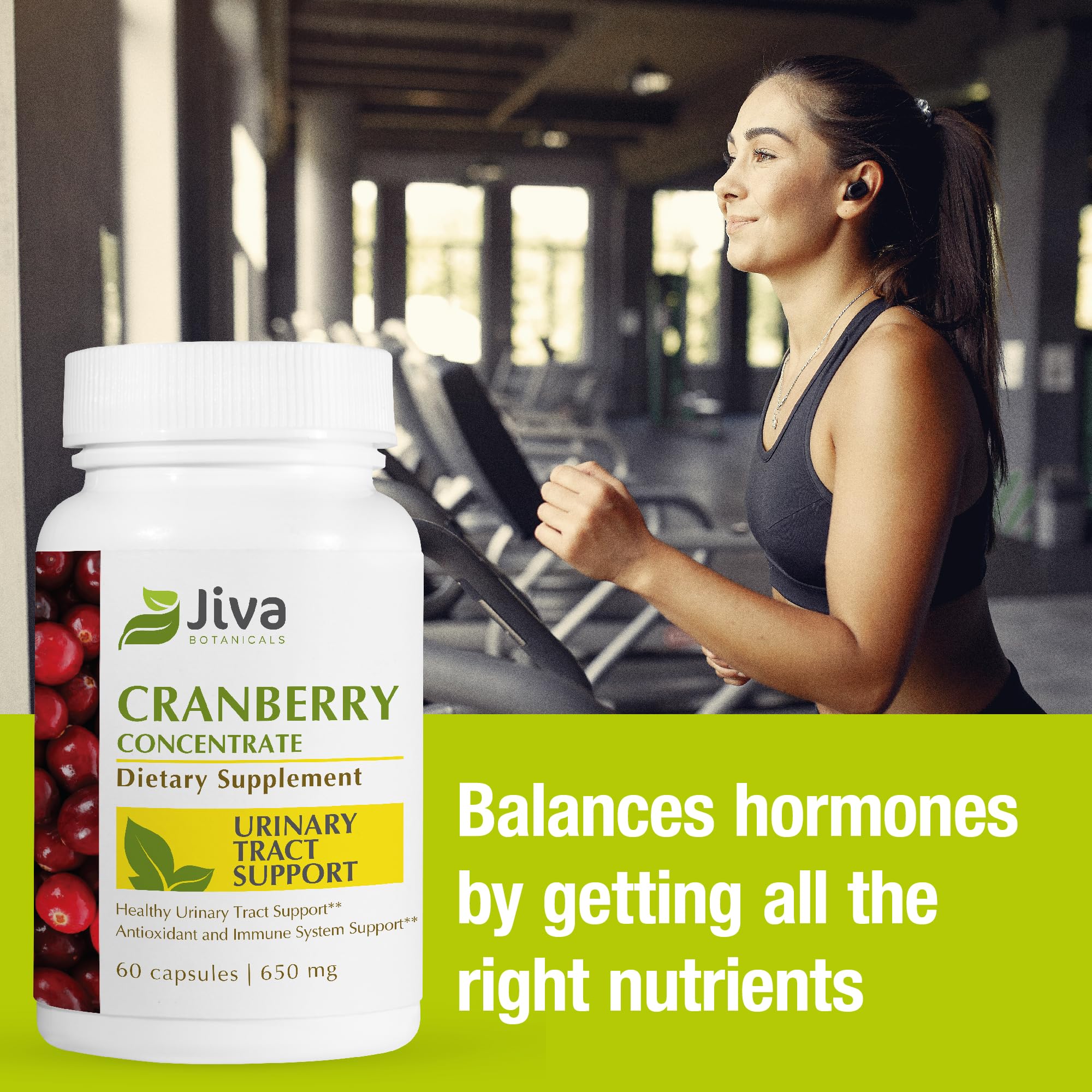 Cranberry extract for immune boost