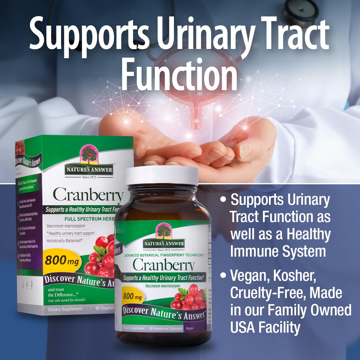 Cranberry extract for immune support