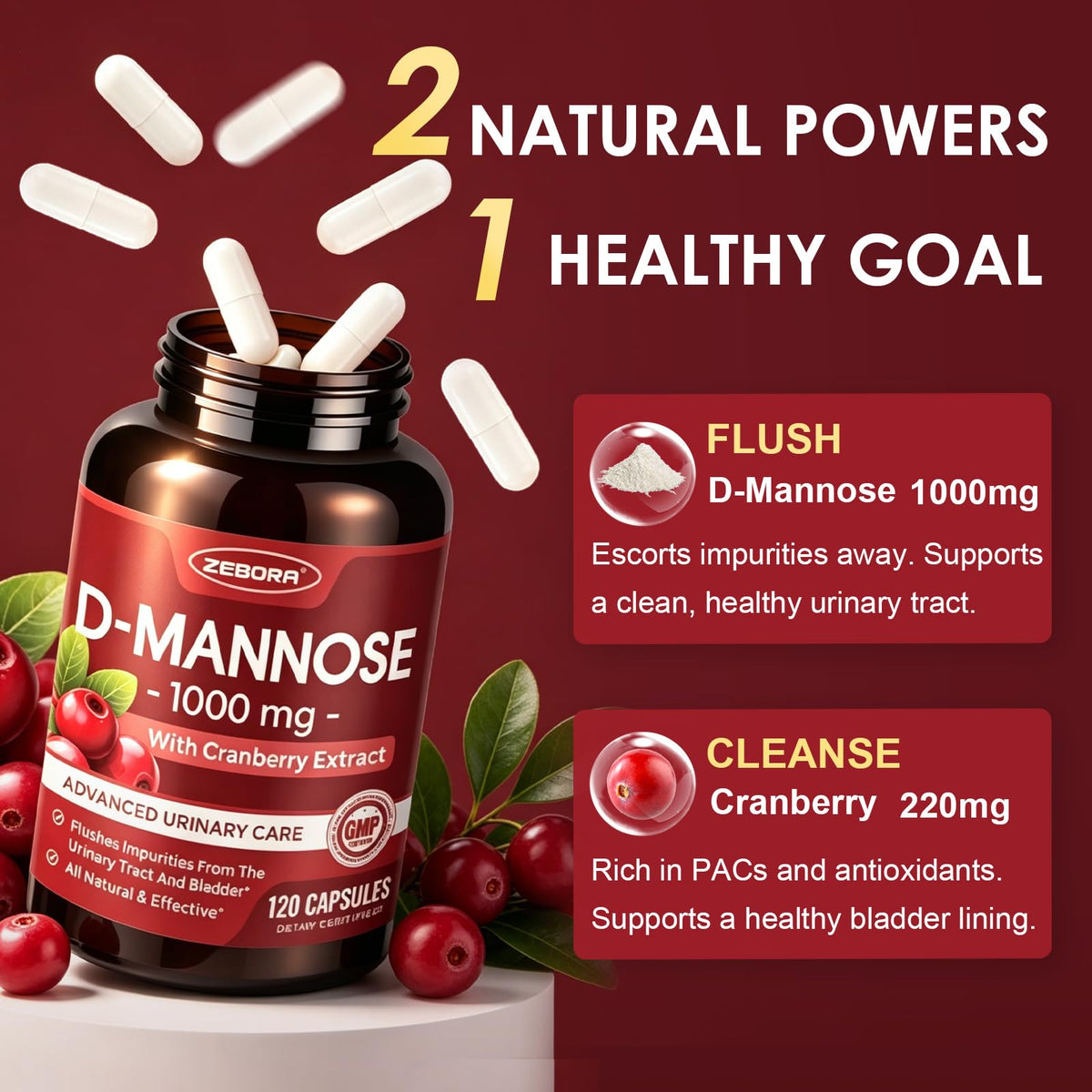 Cranberry extract for urinary support