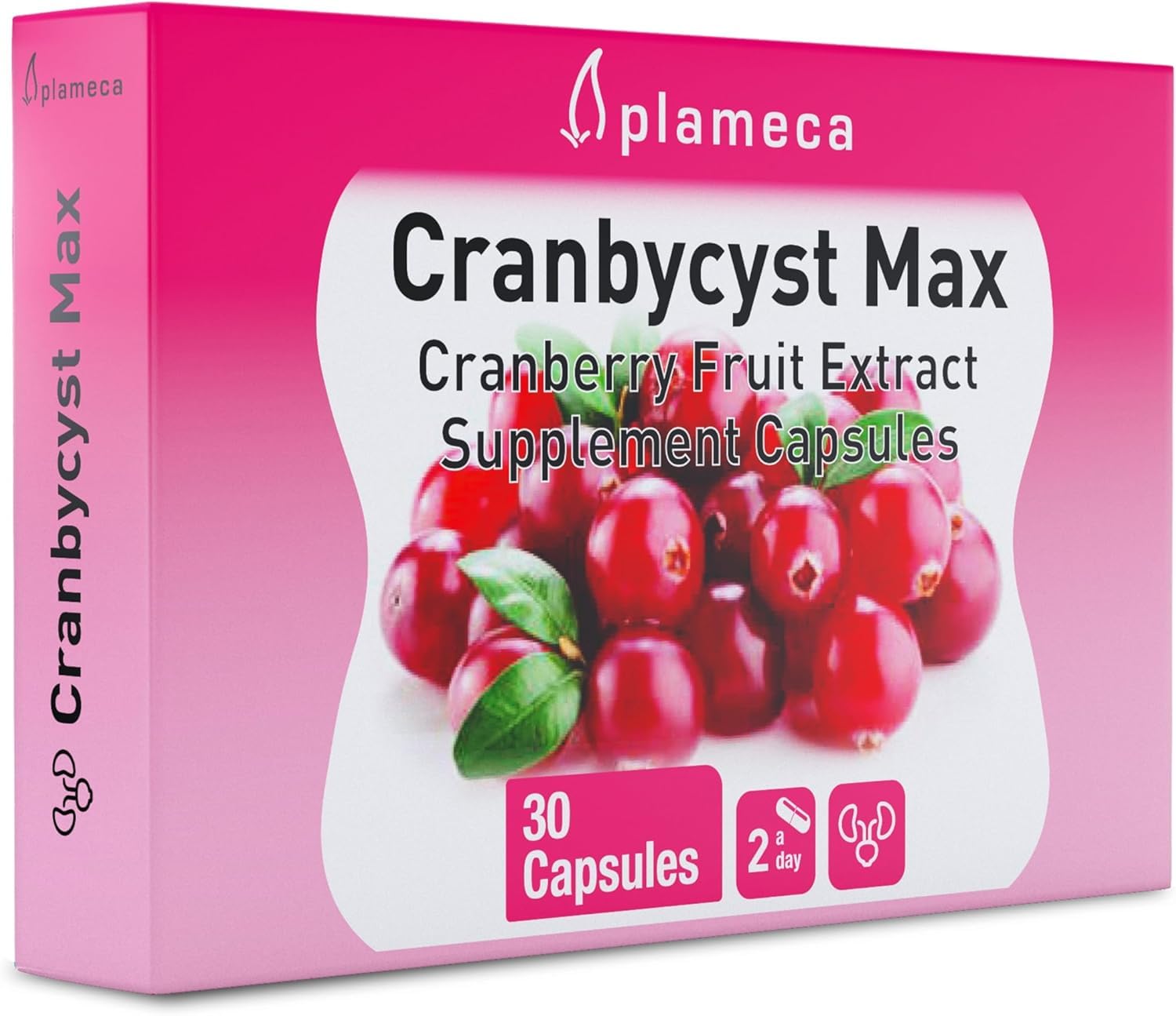 cranberry extract for urinary support