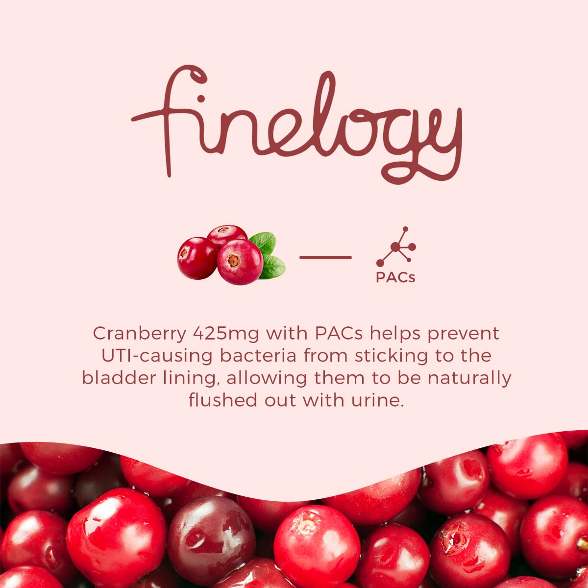 Cranberry extract for urinary tract health