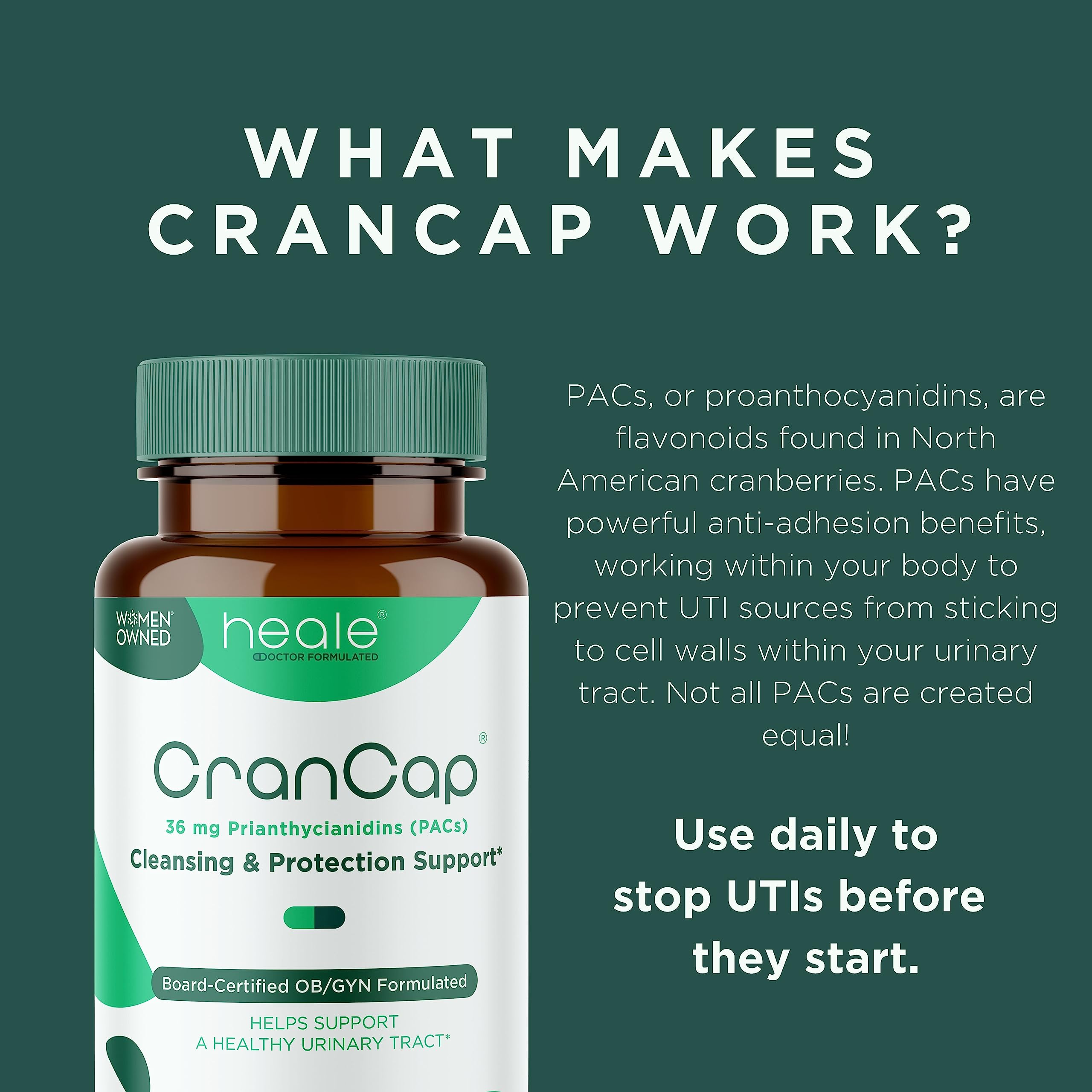 Cranberry extract for urinary tract support