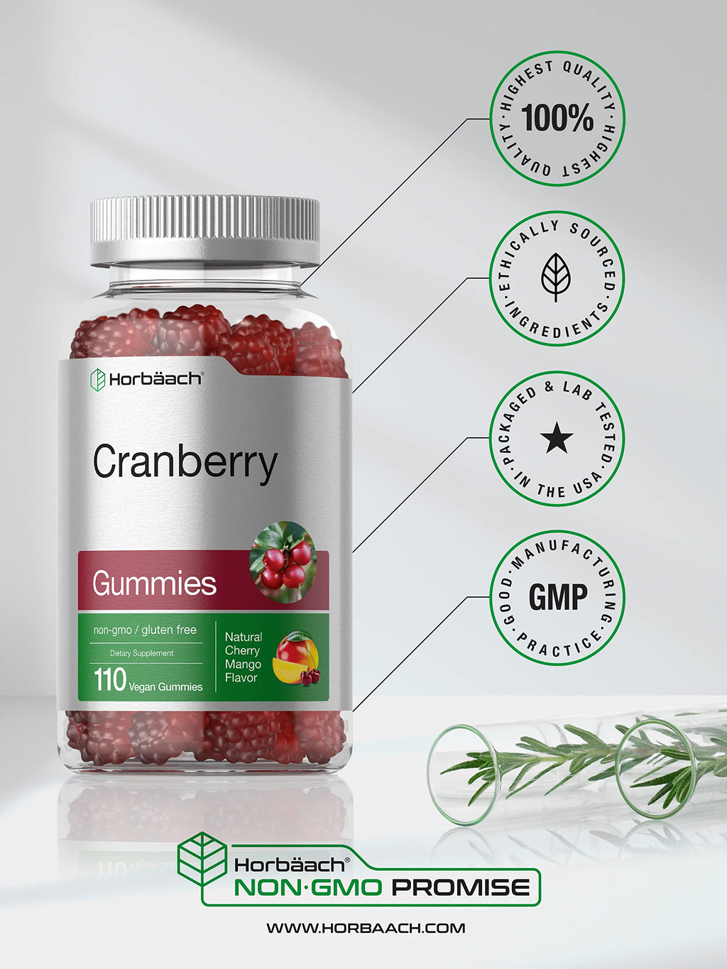 cranberry gummies for antioxidant support