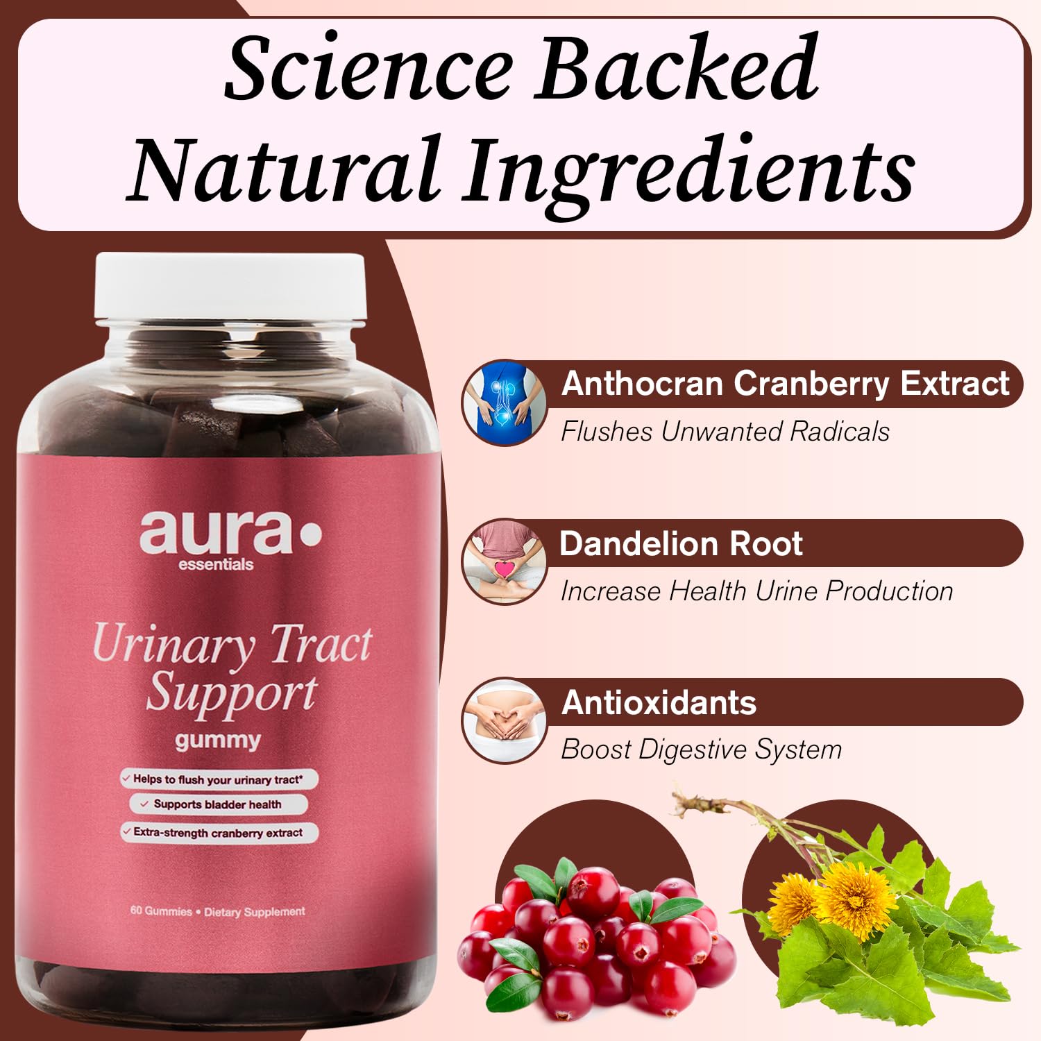 cranberry gummies for everyday wellness