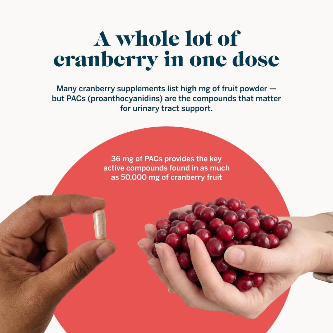 Cranberry PACs for bladder support