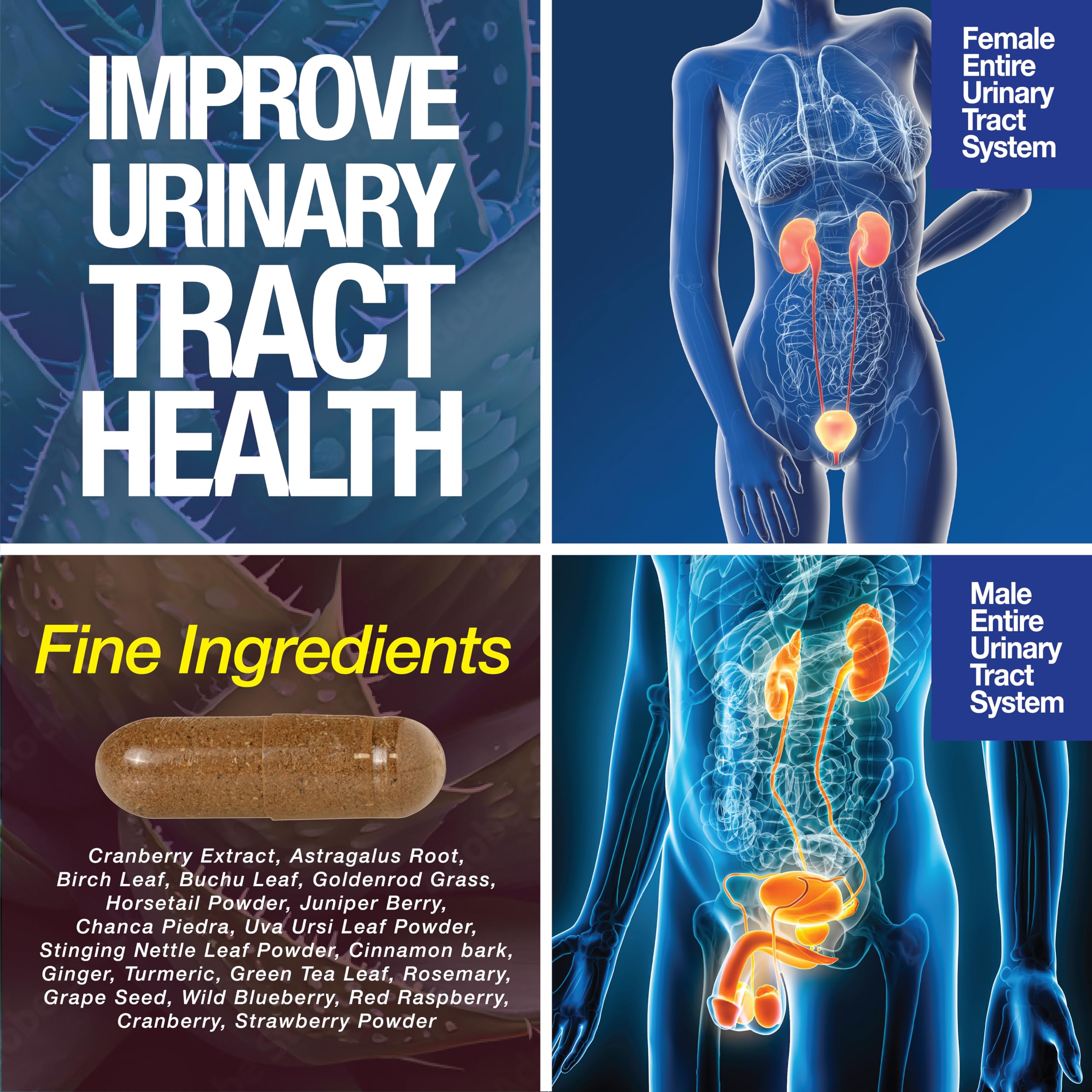 cranberry pills for urinary support