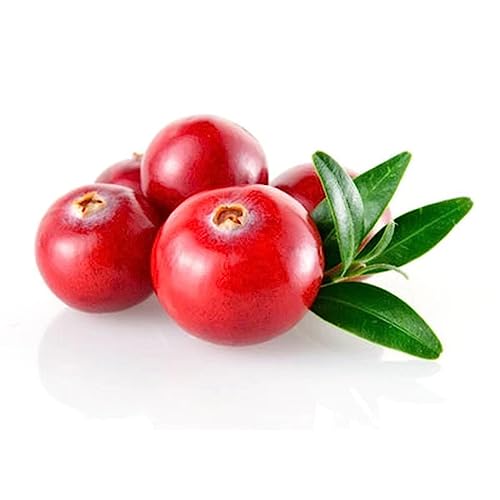 Cranberry powder ideal for recipes