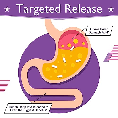 cranberry probiotics for urinary tract balance