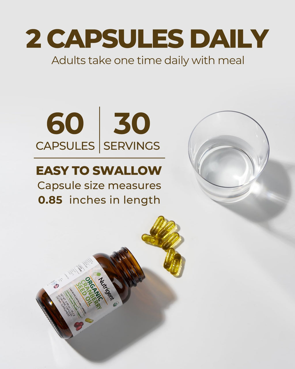 cranberry seed oil for hydration
