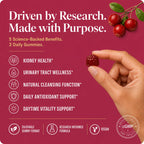 Cranberry supplement for kidney health