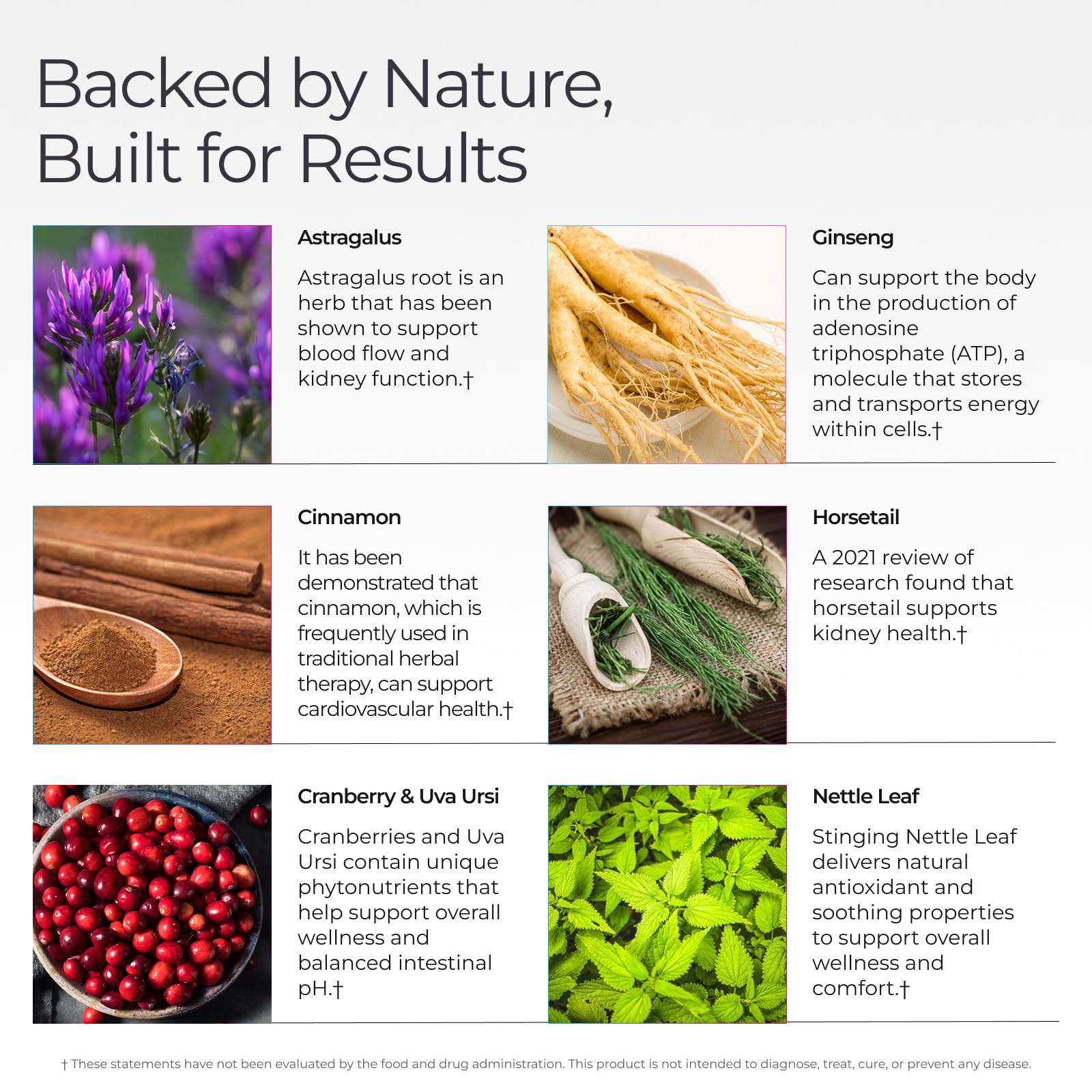 Cranberry supplement for men and women