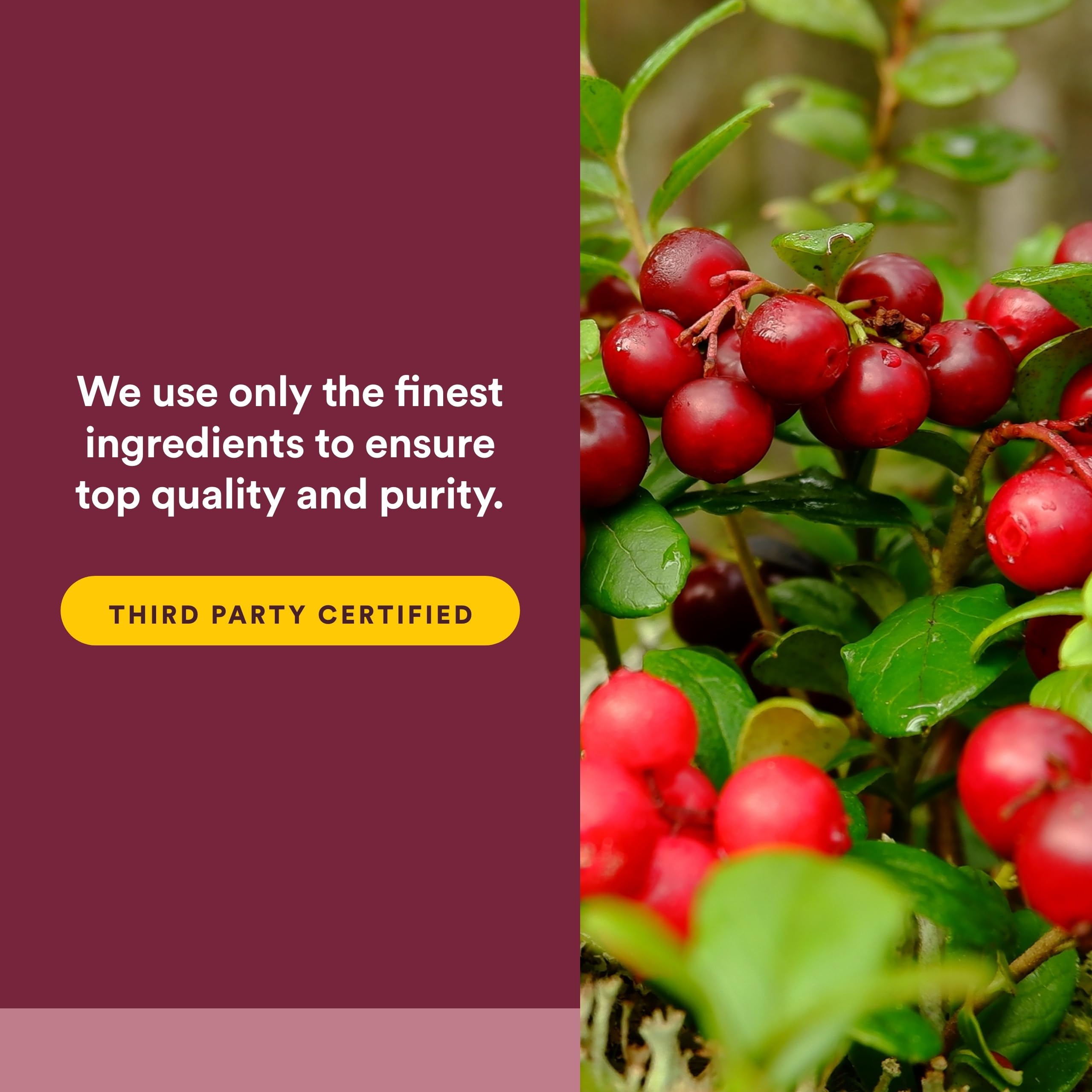 Cranberry supplement for natural detox