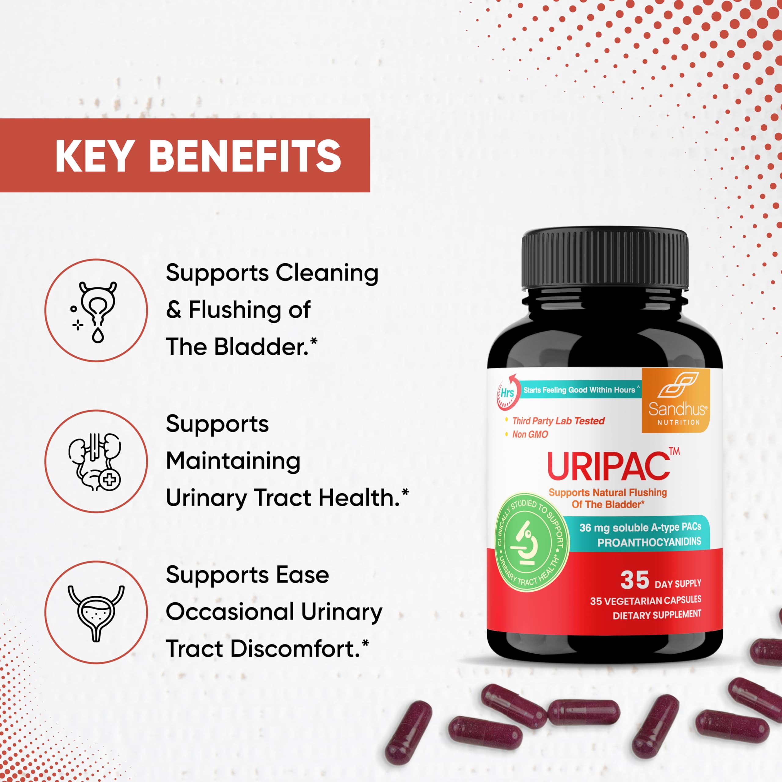 cranberry supplement for overall wellness