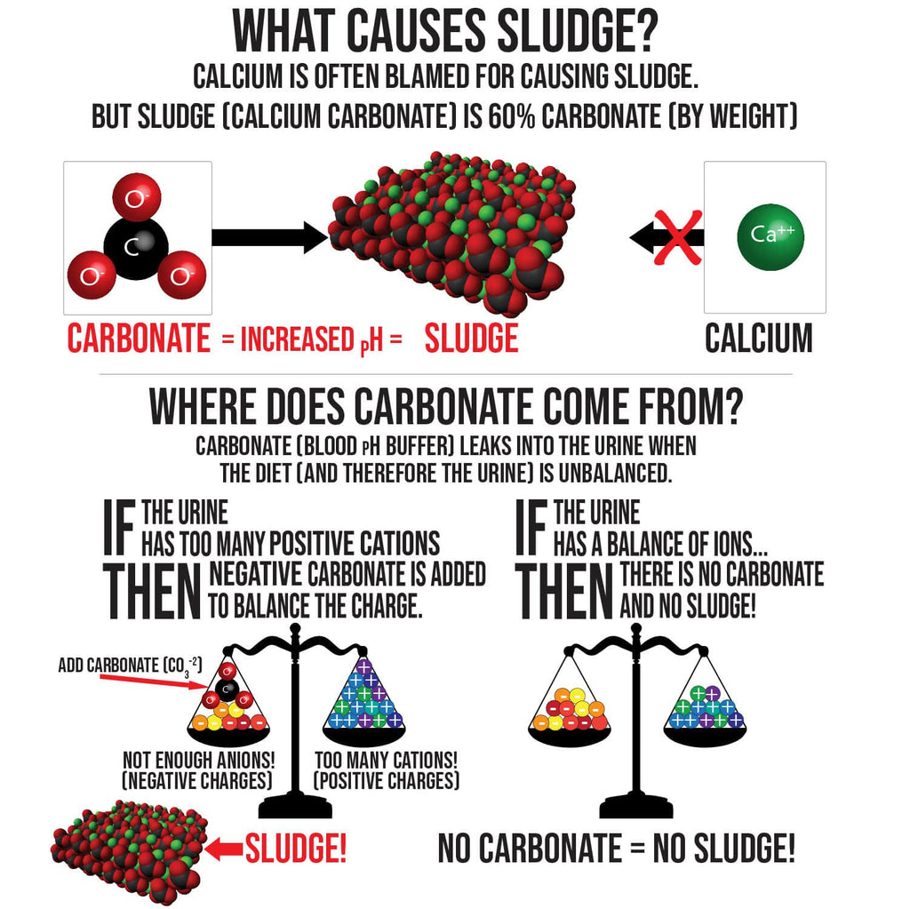 cranberry supplement for pet bladder health