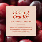 CranRx cranberry capsules for daily use