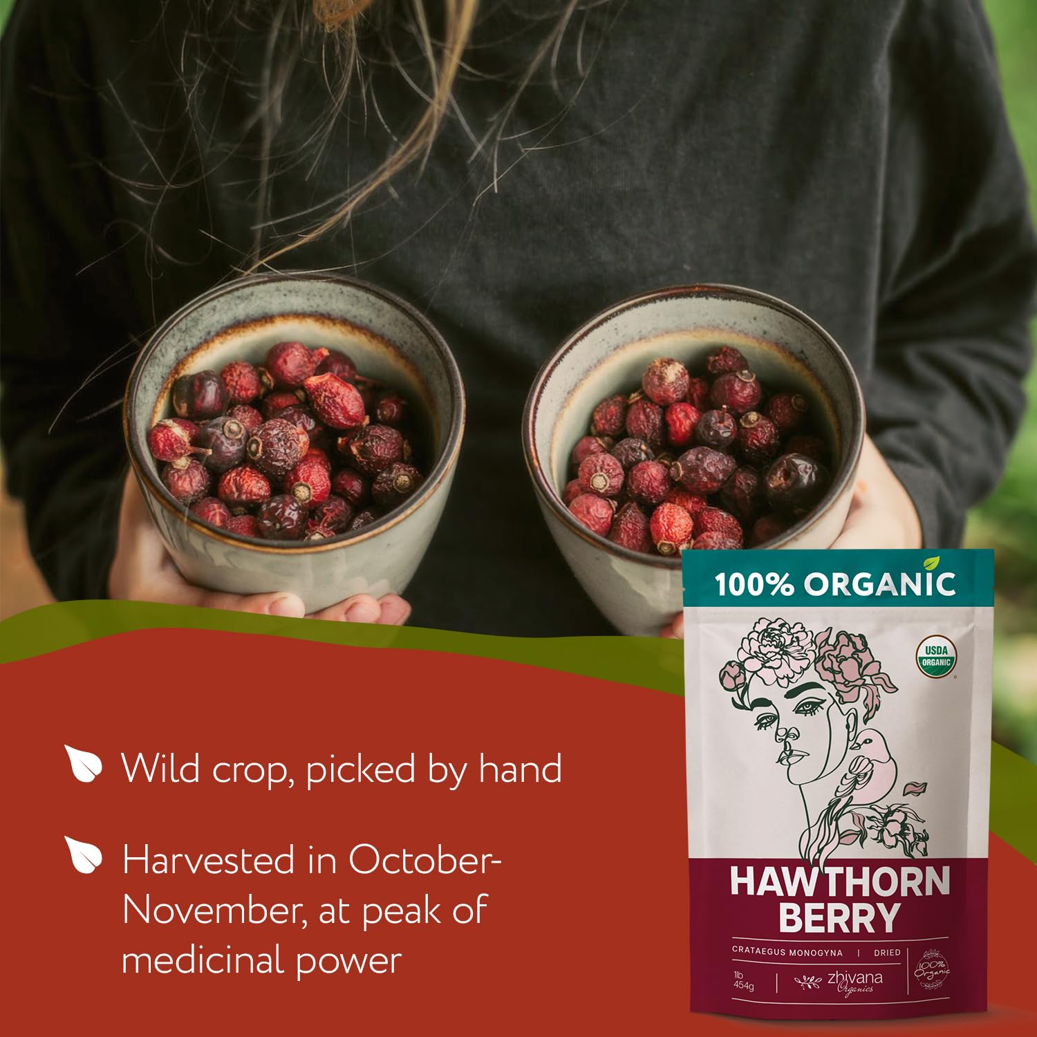 Crataegus Monogyna herbal infusion