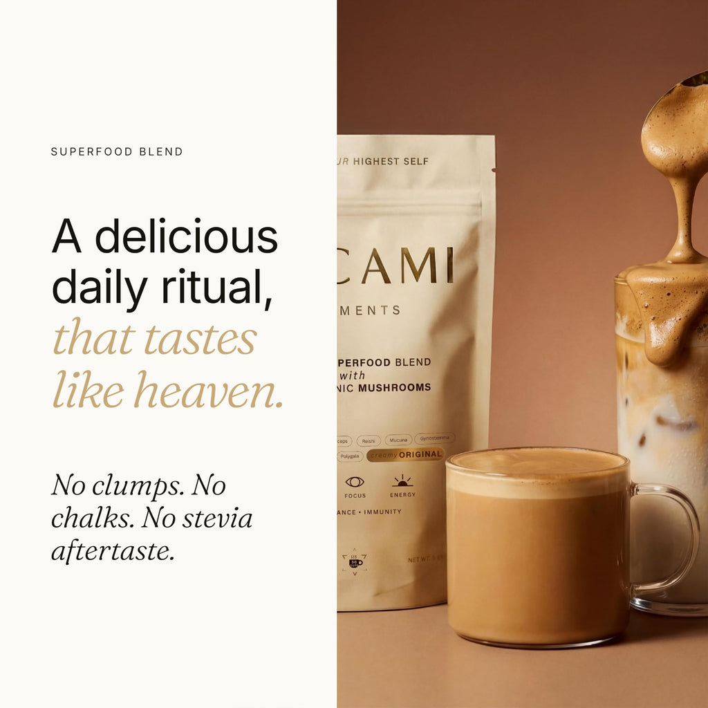 creamy cacao mushroom blend benefits