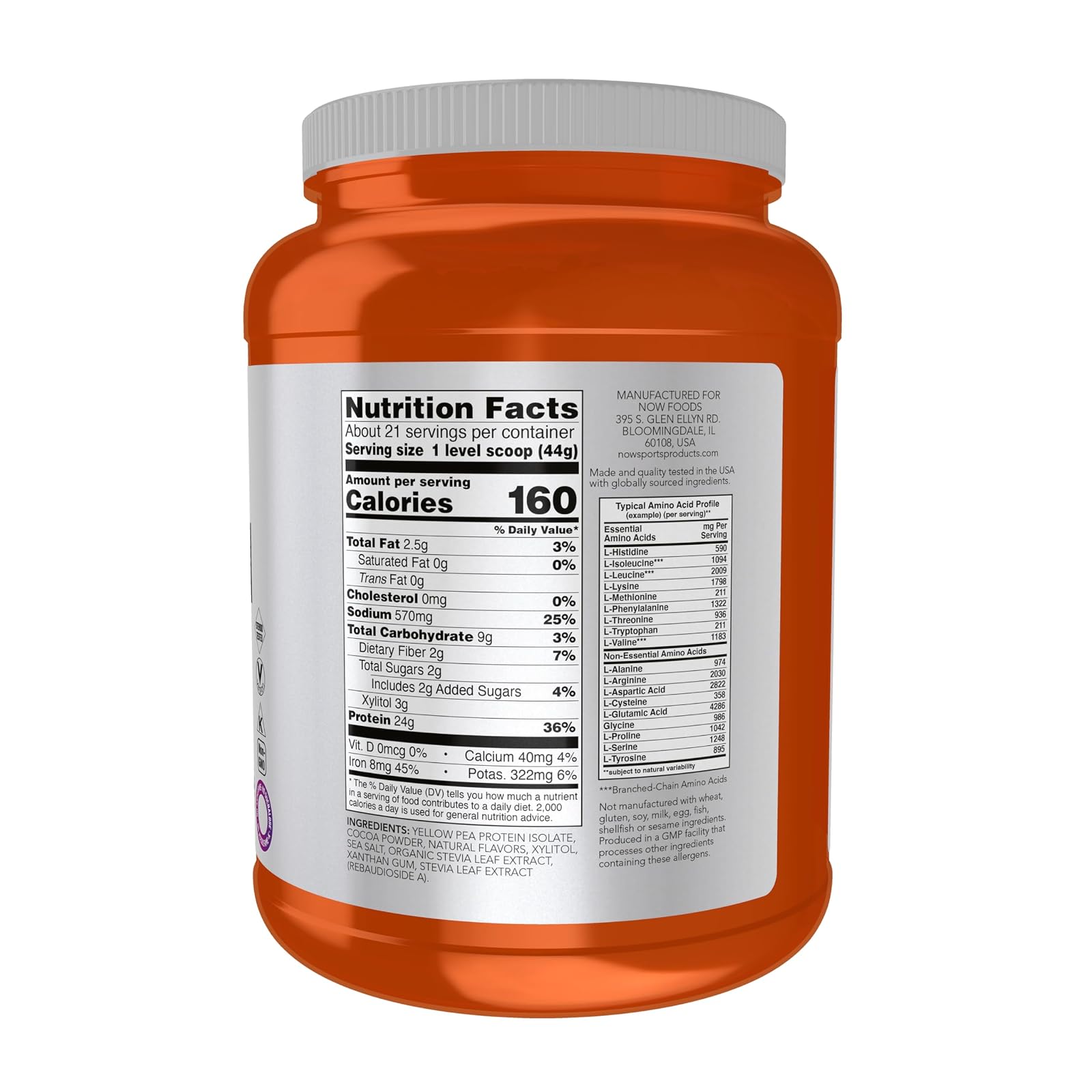 creamy chocolate plant protein