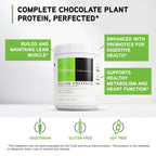 creamy chocolate vegan protein powder
