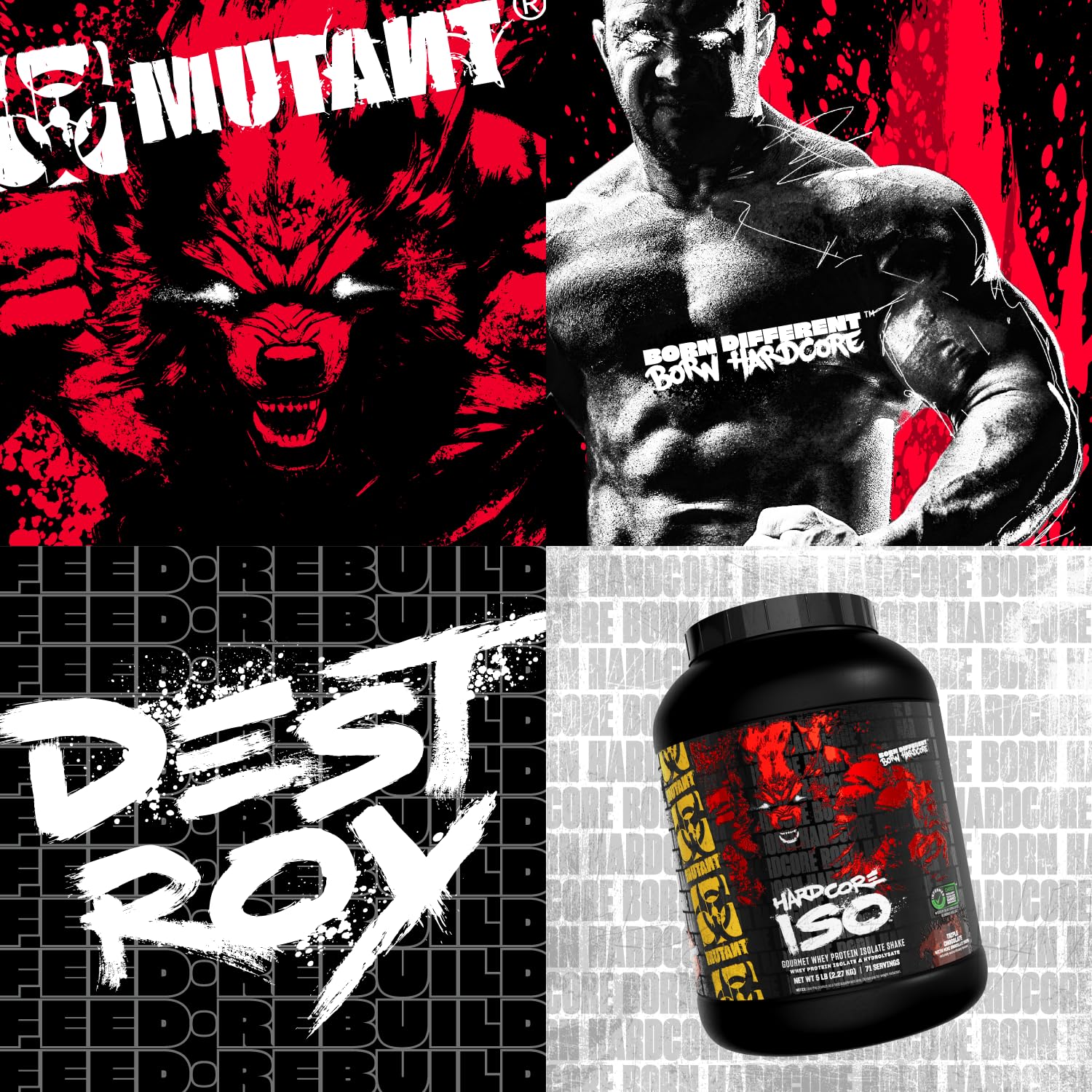 creamy whey protein for tasty shakes
