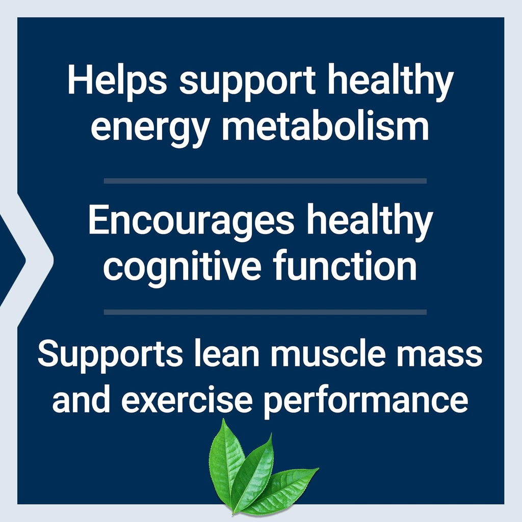 Creatine Acetyl-L-Carnitine for workouts