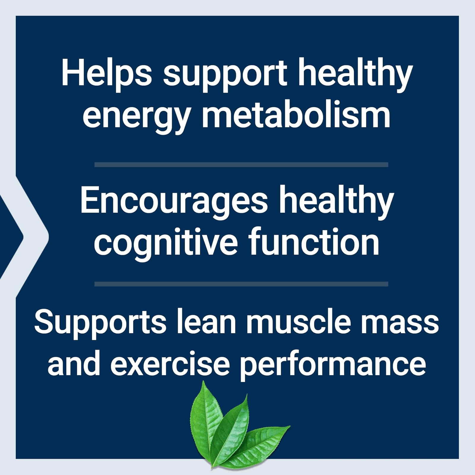 Creatine Acetyl-L-Carnitine for workouts
