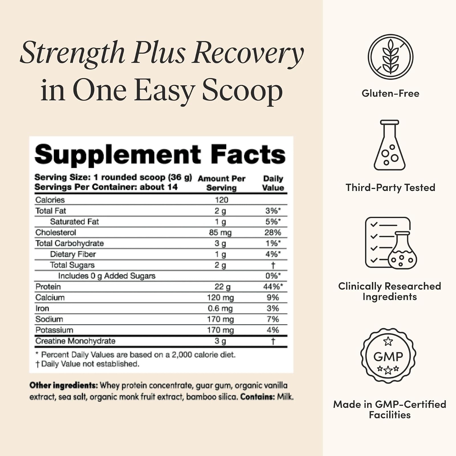 creatine and BCAAs for muscle recovery