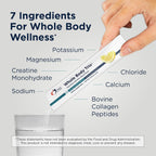 Creatine and collagen for muscle support