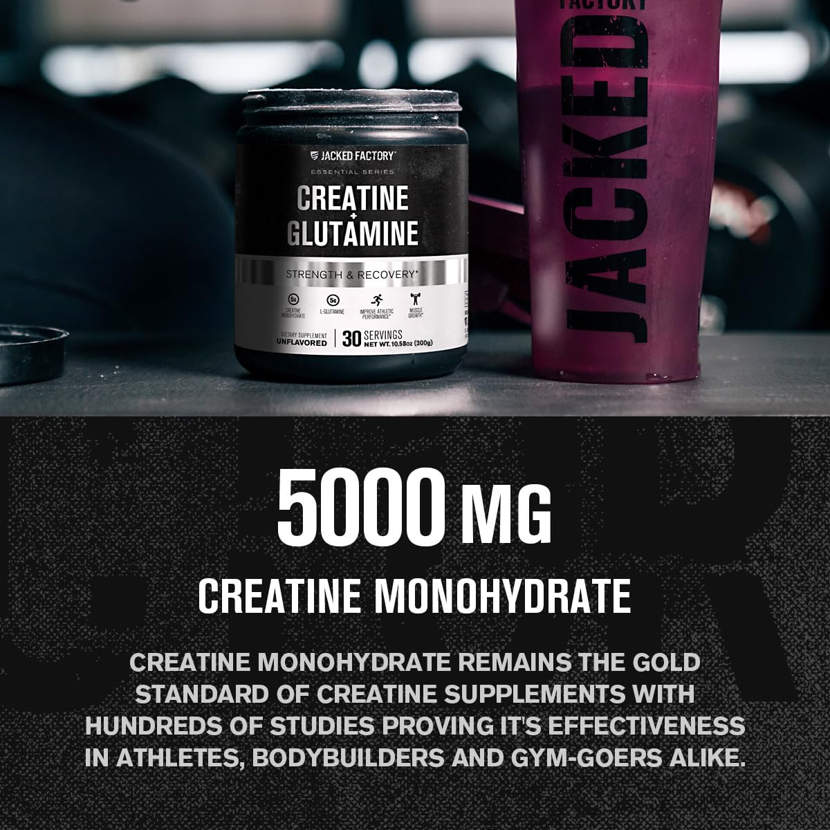 creatine and glutamine for recovery