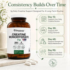 creatine for energy and recovery
