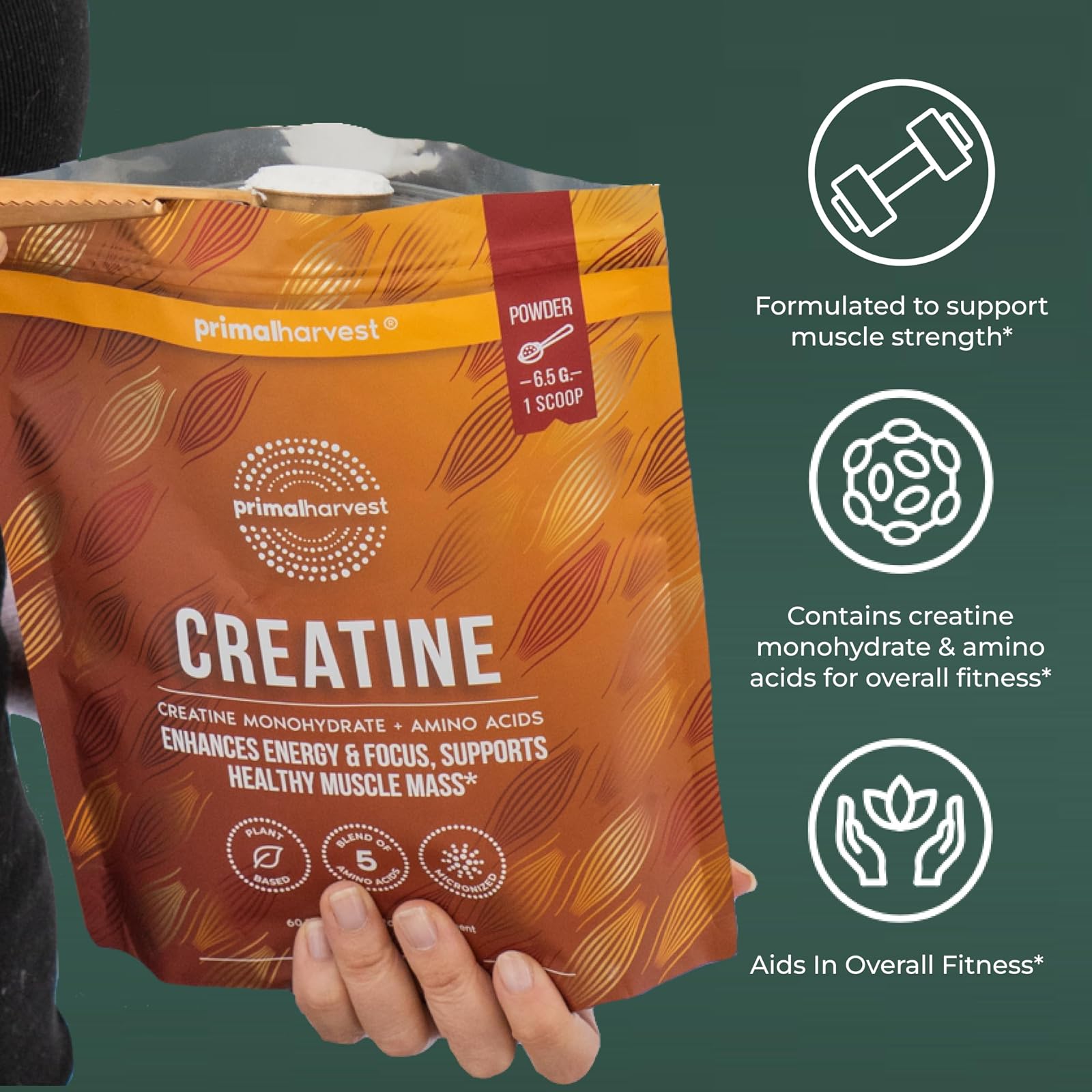 creatine for enhanced recovery support