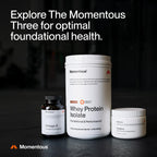 creatine for improved workout endurance