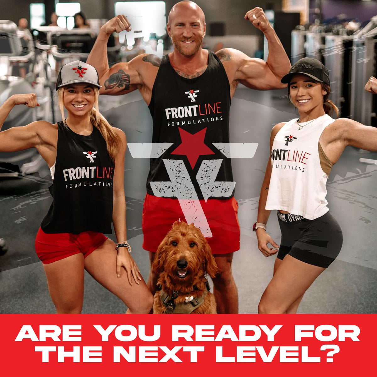 Creatine for improved workout recovery