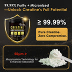 creatine for improved workout recovery