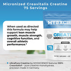 creatine for improved workout recovery