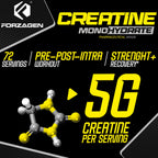 creatine for improved workout recovery