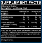 creatine for increased endurance levels