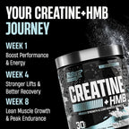 creatine for strength and recovery