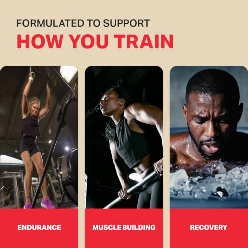 creatine for strength and recovery