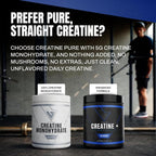 creatine gummies for convenient energy boost